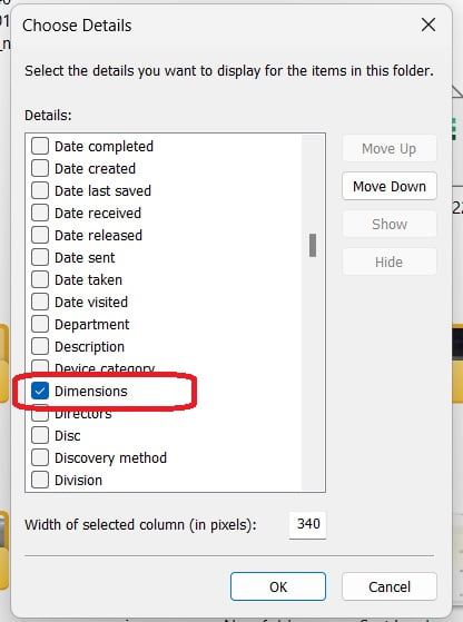 Sort Landscape - Portrait di Explorer - HAJARSABRANI
